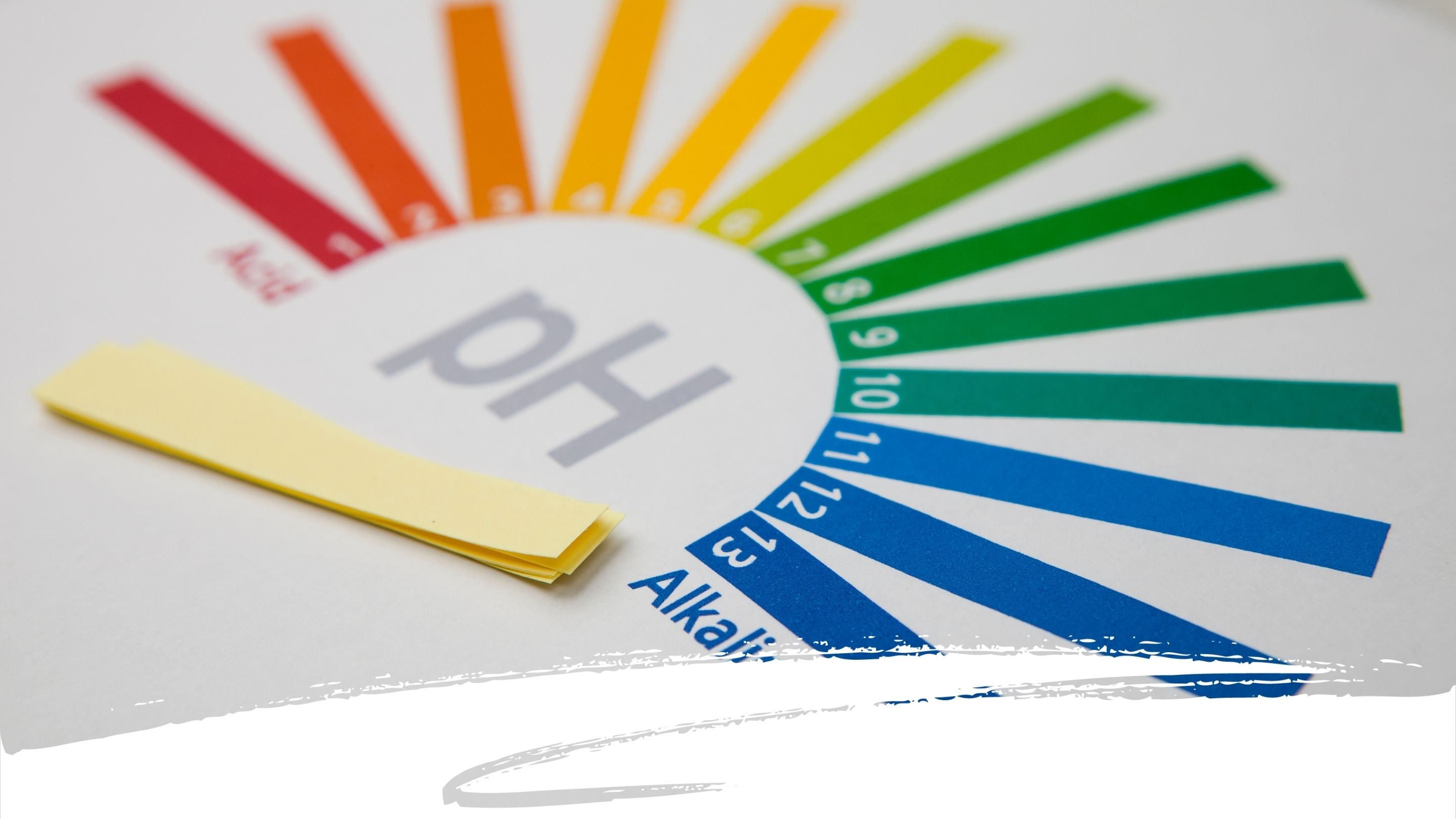 What PH Level Is Your Sunscreen And Why Should You Care KINeSYS What PH Level Is Your Sunscreen And Why Should You Care KINeSYS